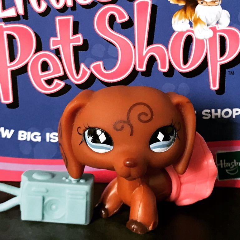 Littlest Pet Shop Jamnik Roza #640 Oryginalny LPS! - 7551420309 ...