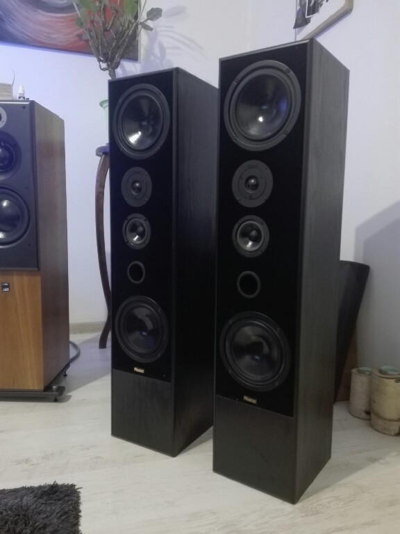 Magnat Vector 6 - 7288640730 - oficjalne archiwum Allegro