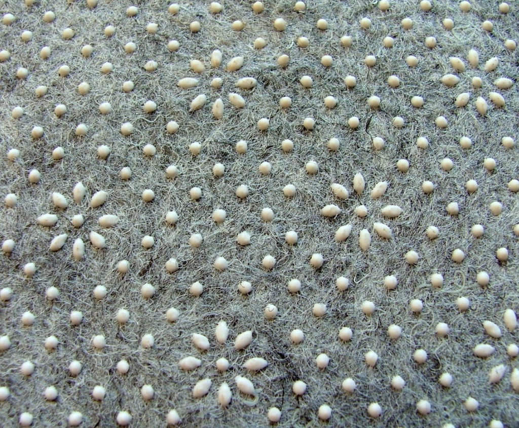 TKANINA ANTYPOŚLIZGOWA FILC 700G 200CM ROLKA 15MB - 7149059163 ...