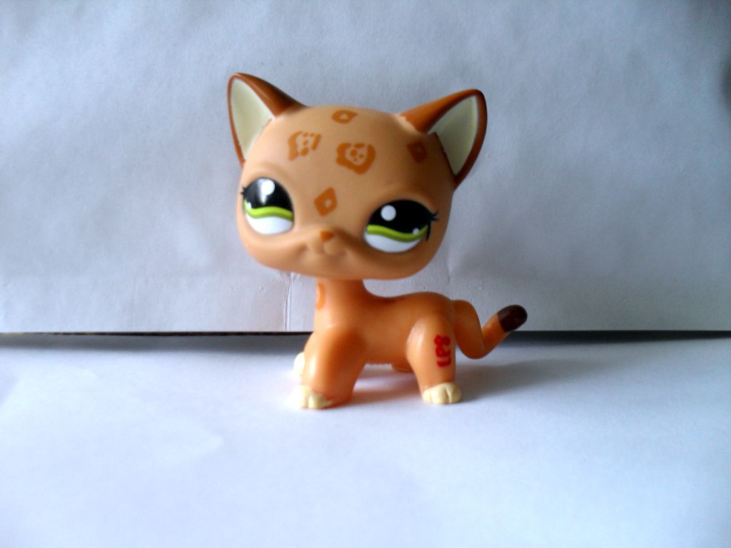 LITTLEST PET SHOP LPS 1120 SHORTHAIR KOT W CĘTKI - 7110030365 ...